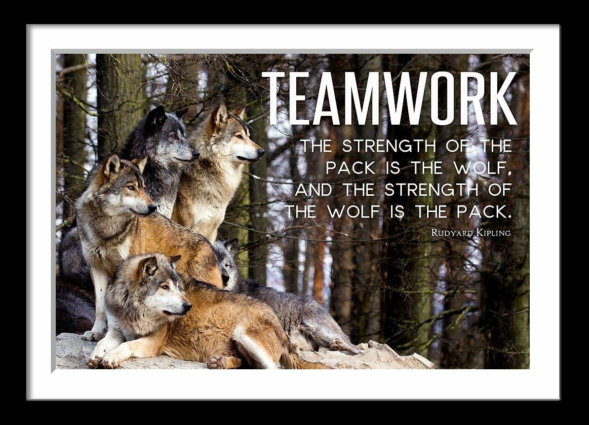 Running with the wolves – My Beauty – Full World